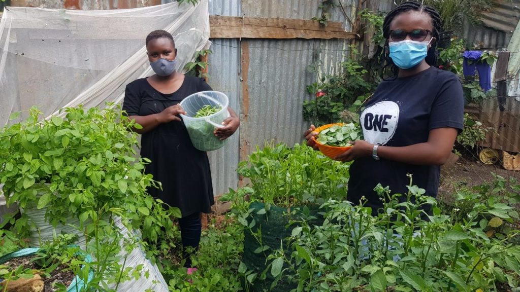 Act4Food » Indigenous Vegetables are Key to ‘Eating Right’ in a ...